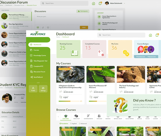 Responsive Web Design Services | Mindbees
